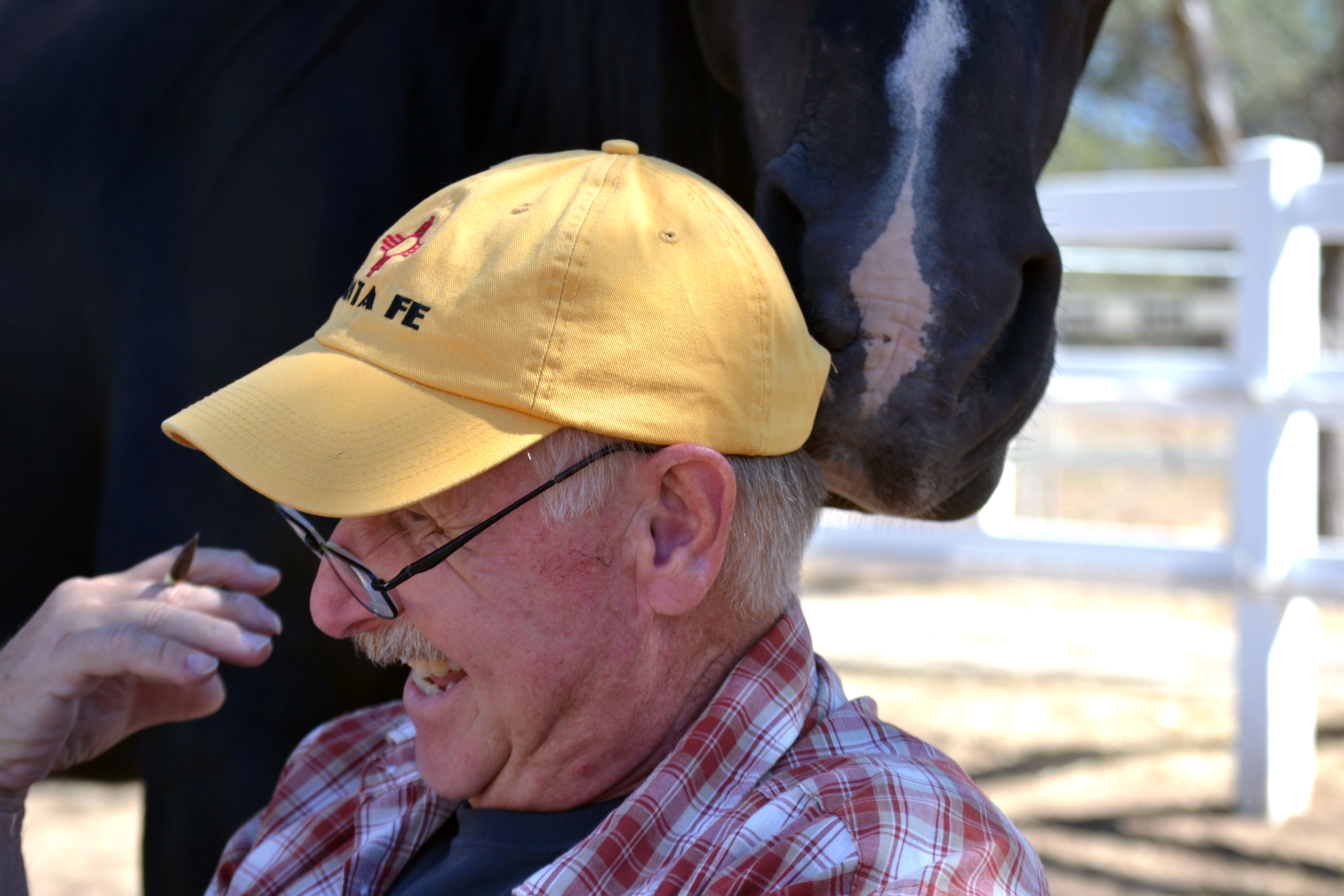 What can a horse teach a pastor?
