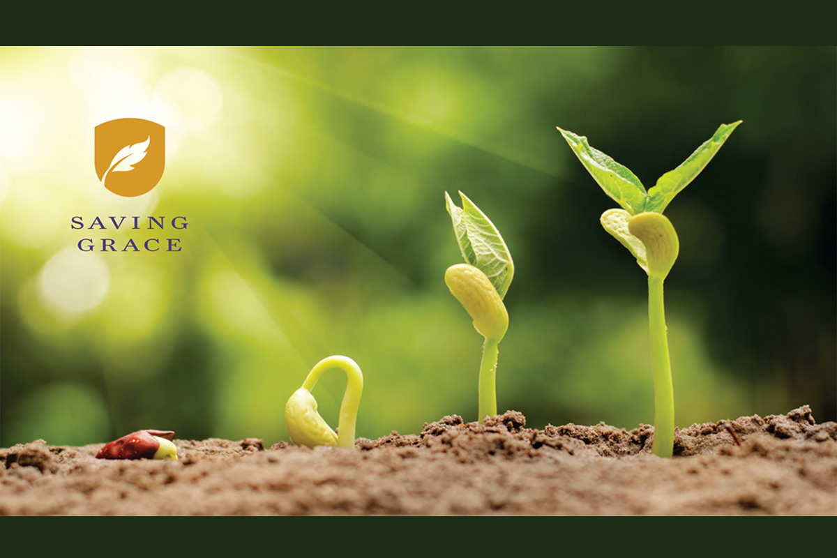 A Wesleyan take on personal finance