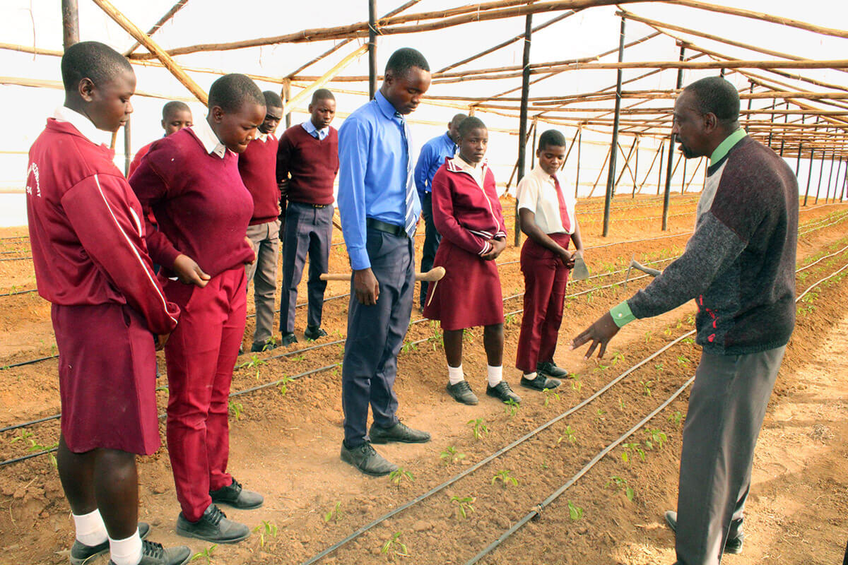 Greenhouses enrich lives at church mission | UMNews.org